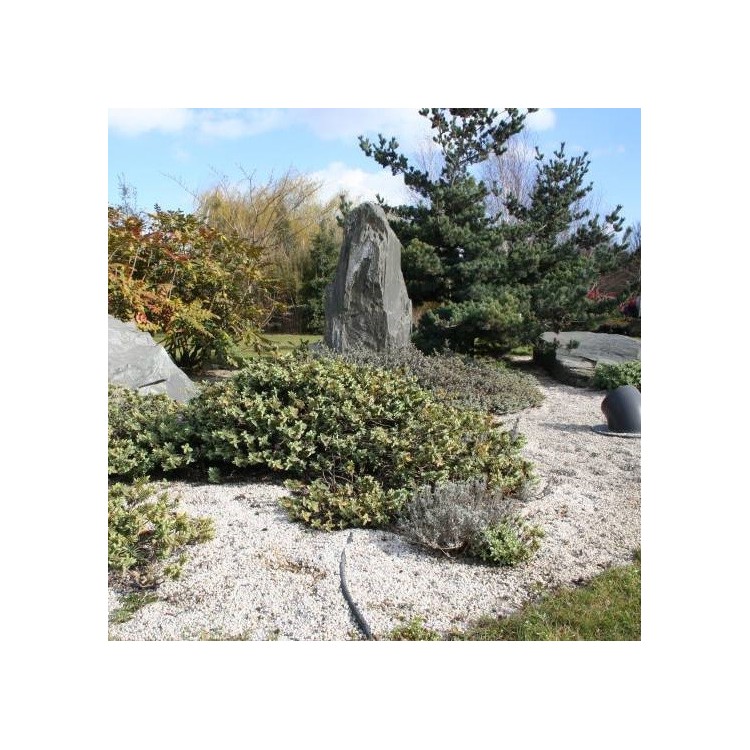 Blue Slate Feature Stones - Sized at 1-4metres Long/Tall